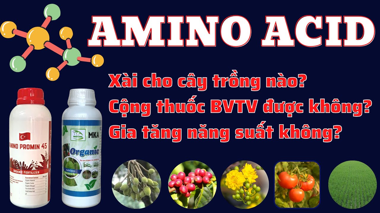 Amino acid là gì? Sử dụng cho cây trồng nào? Giai đoạn nào? Tốt không ...