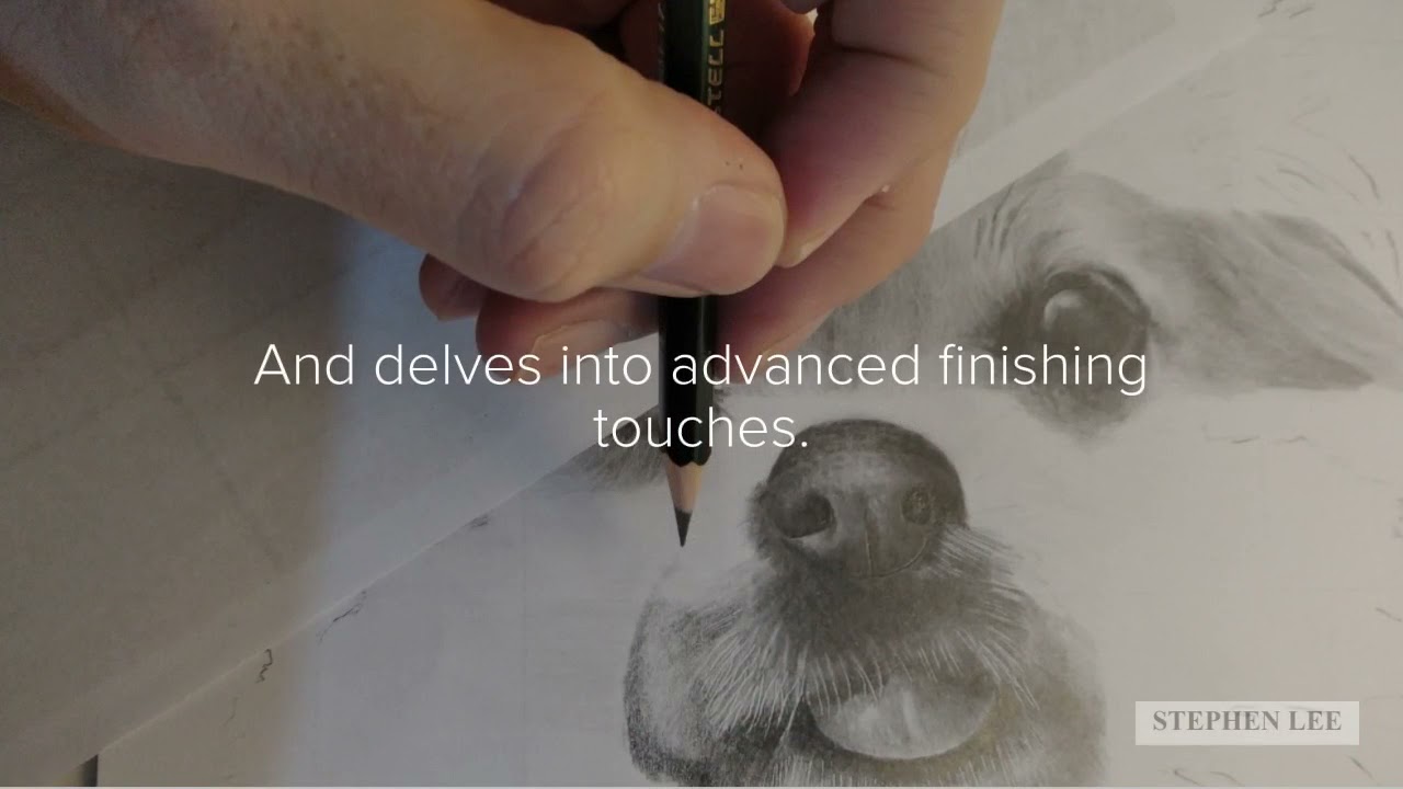 Learn to Sketch Pets Tutorial - YouTube