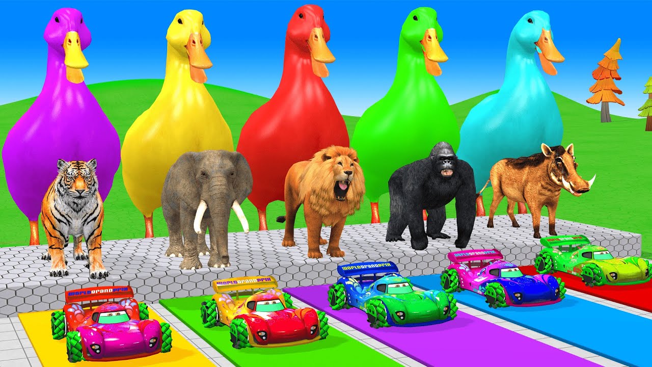 Long Slide Game With Elephant Gorilla Tiger Lion Warthog- 3d Animal ...