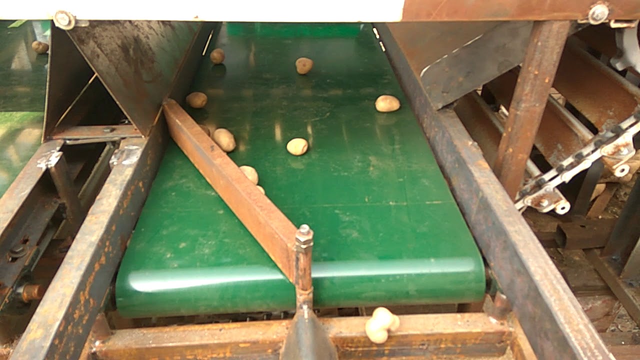 Potato grader machine - YouTube