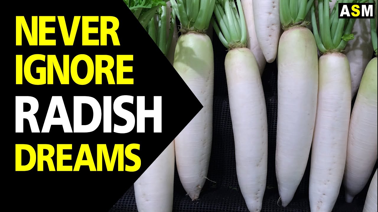 What does Radish dream meaning || Dreaming of Radish || Radish dream ...