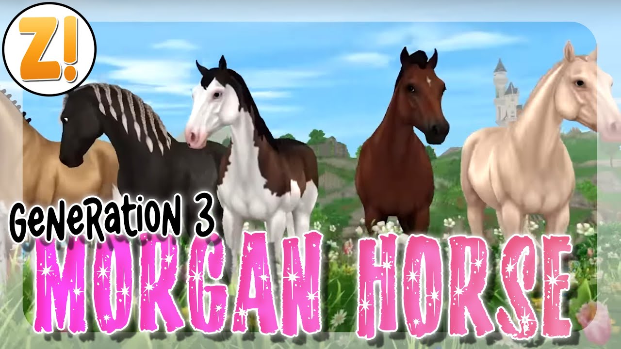 DAS NEUE MORGAN HORSE GENERATION 3! 🐴ABENDRUNDE SERVER 5 | Star Stable ...