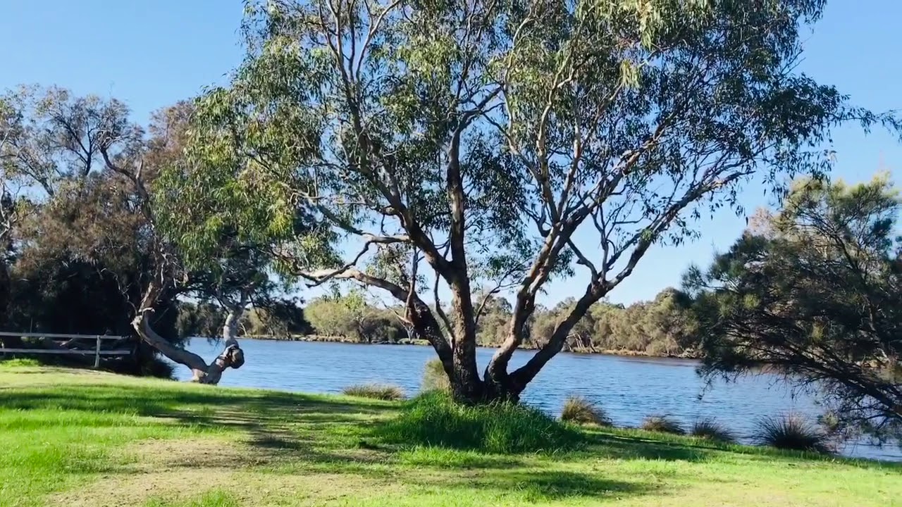 Bassendean, Perth - YouTube