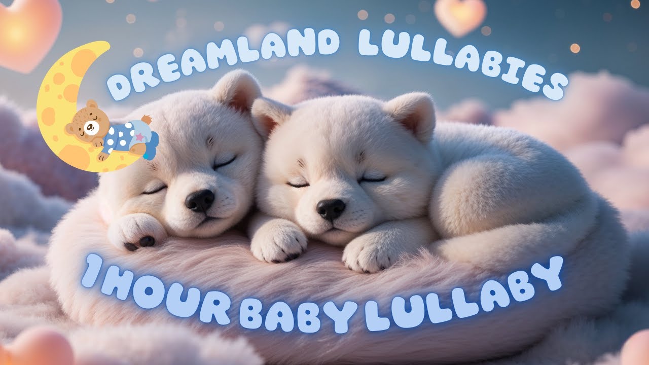 Baby Sleep Music ♥ Bedtime Lullaby for Babies 🌙 Cute Animals Sleeping ...