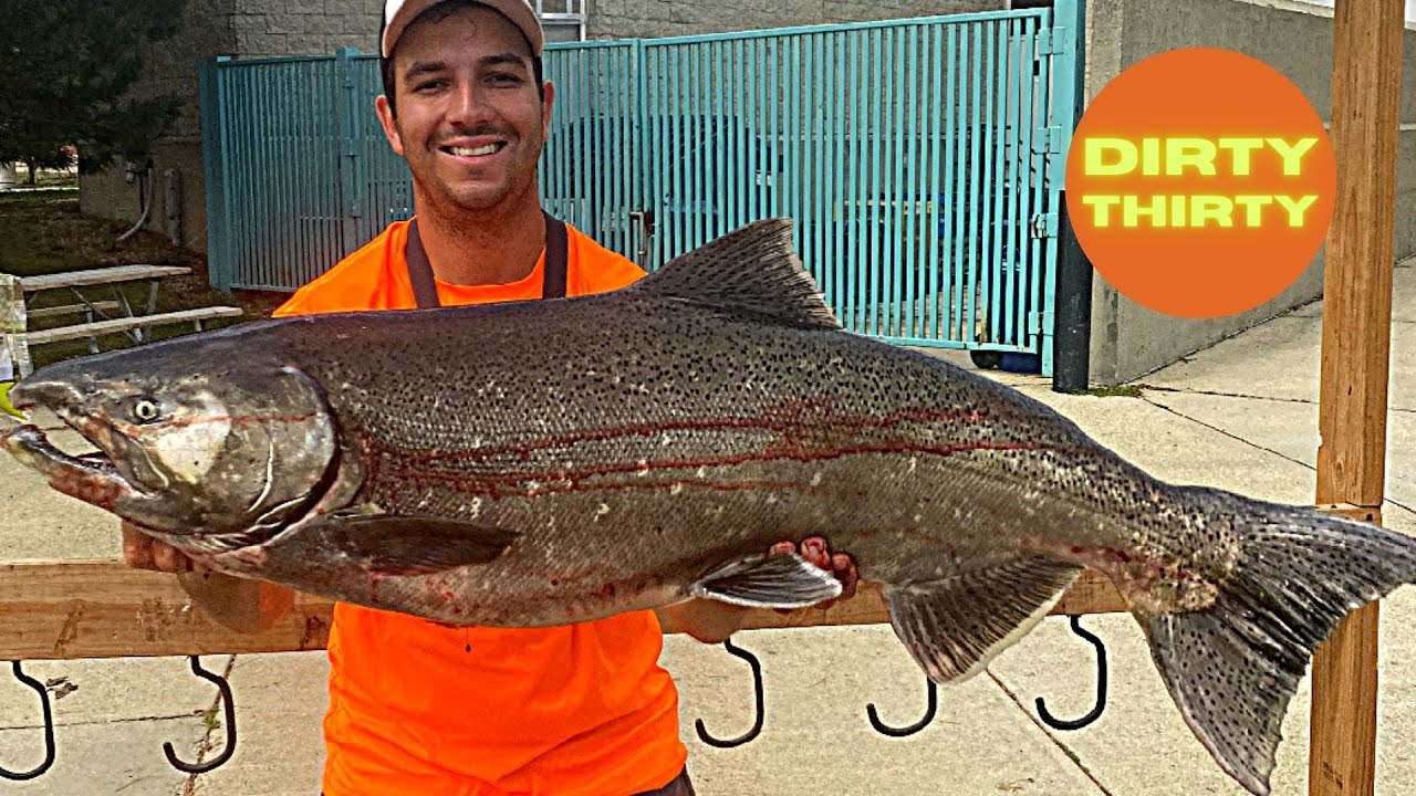 30 POUND SALMON! Trolling for fall salmon on Lake Michigan! - YouTube