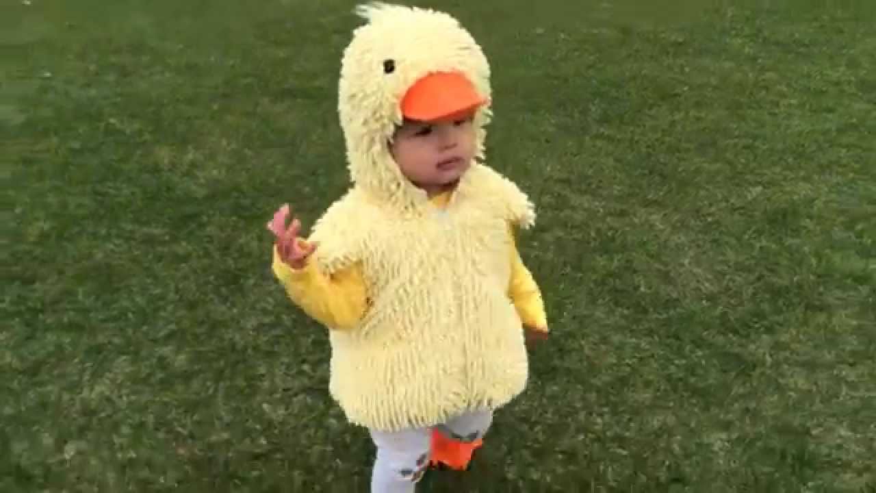 yang yang the duck - YouTube