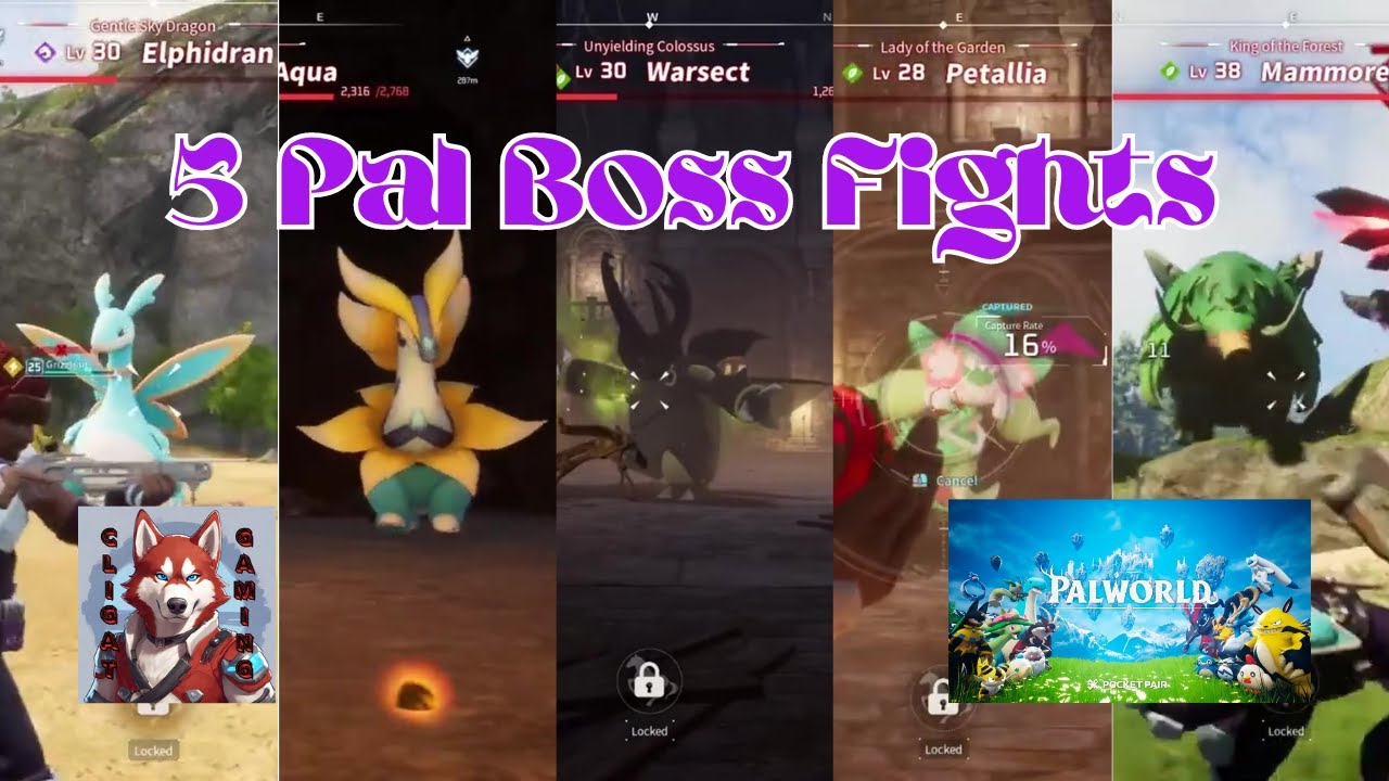 5 Different Pal Boss Fights - YouTube