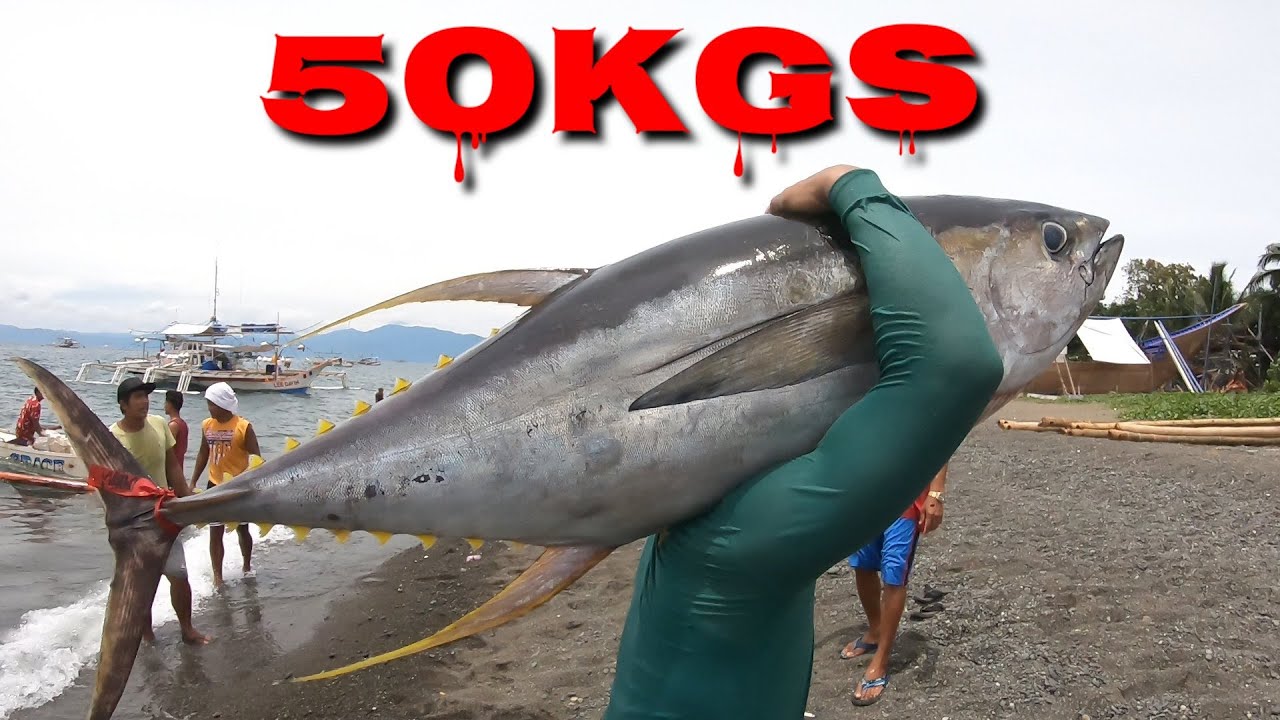 62 Pcs Big Tuna huli nila😱 Grabe matindi Jackpot - YouTube