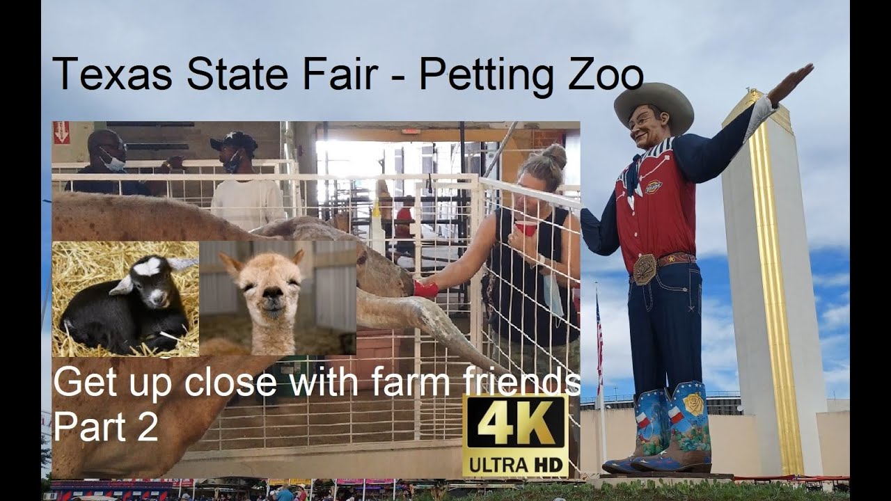 Texas State Fair Petting Zoo