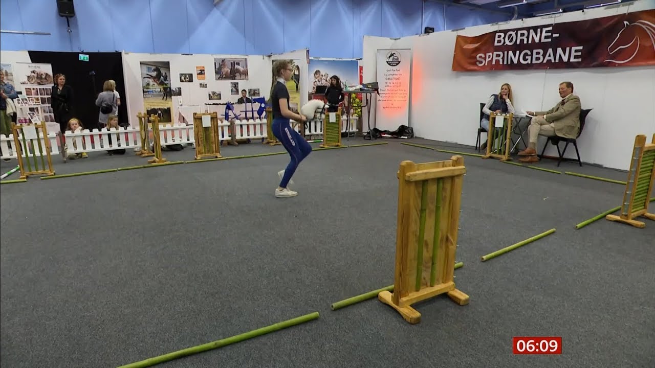 Hobby horse show jumpers (fun story) (Denmark) - BBC News - 30th ...