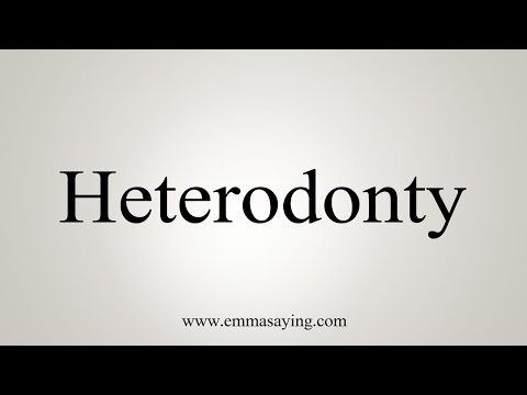How To Say Heterodonty