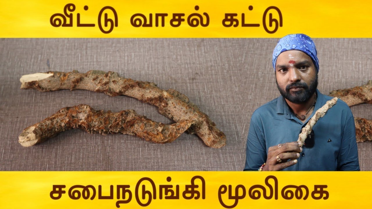 வீட்டு வாசல் கட்டு சபைநடுங்கி மூலிகை | velli pillayar kadai | Mooligai ...