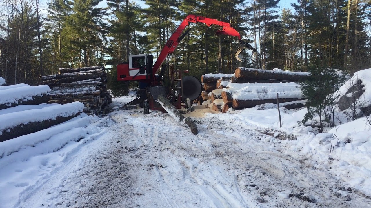 Serco 200F Slasher Cutting Up White Pine - YouTube