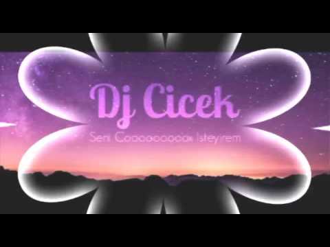 Dj Cicek - Sevgi