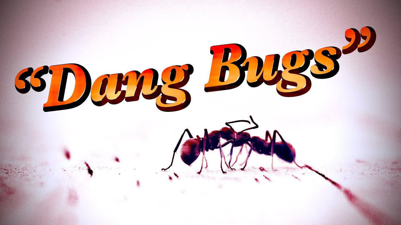 "Dang Bugs" | Insect Creepypasta - YouTube