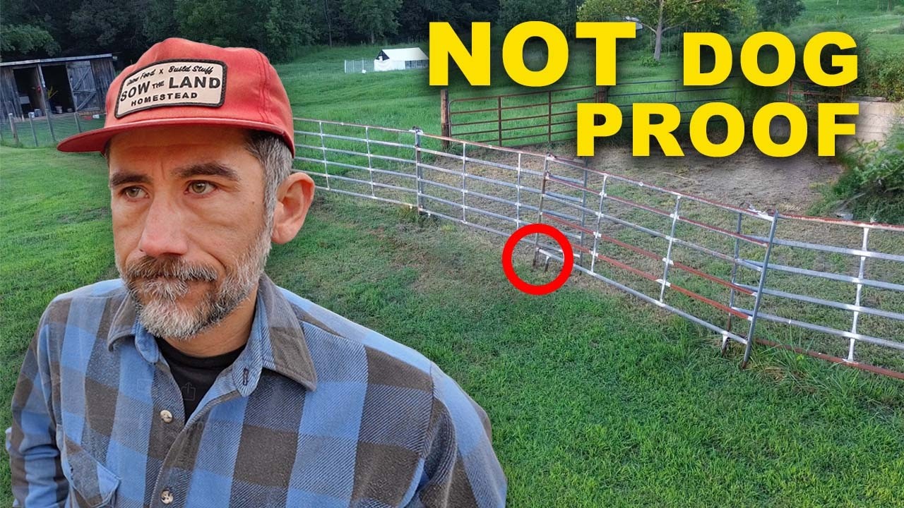 Dog Proof Your Farm Property with Updated Farm Gate - YouTube