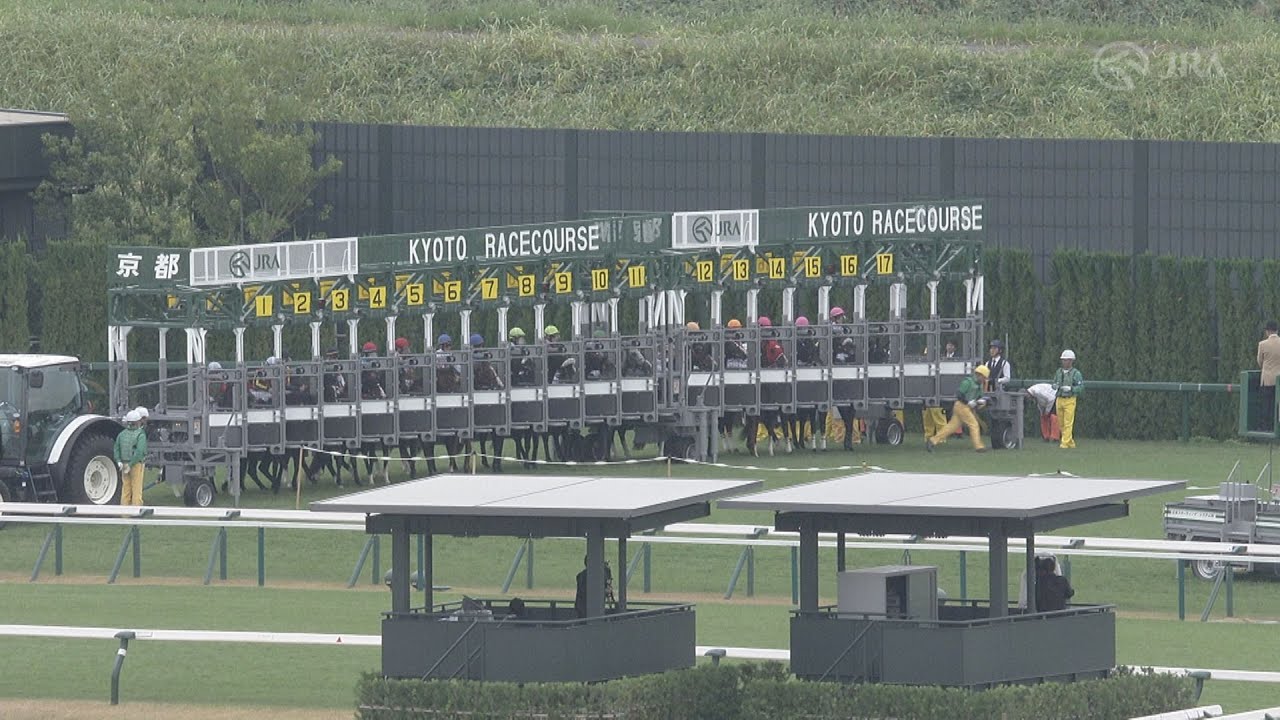 2024 MILE CHAMPIONSHIP (G1) | JRA Official - YouTube