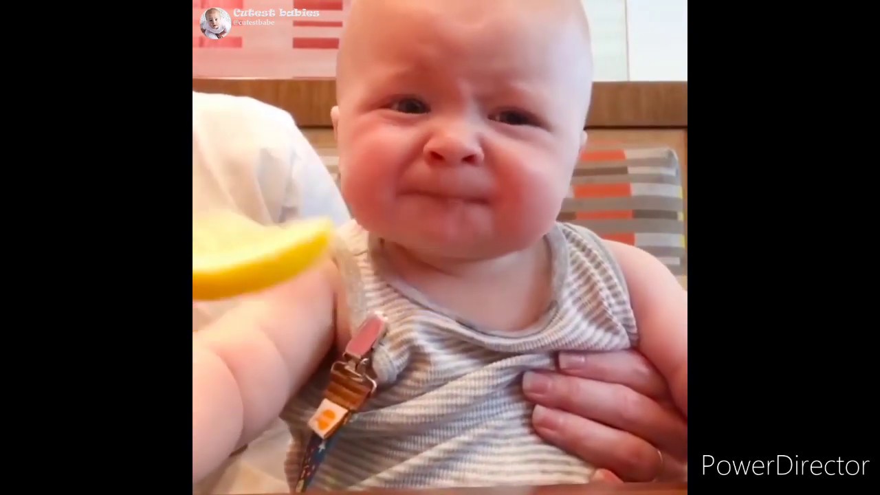 Funny babies eating lemon🍋!babies fun - YouTube