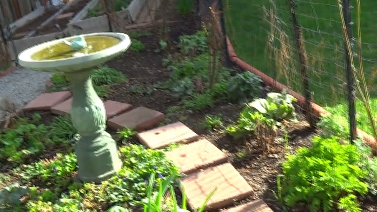 A Morning Walk in the Garden - YouTube