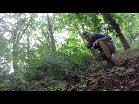 Alex Doonan - The Island Video - YouTube