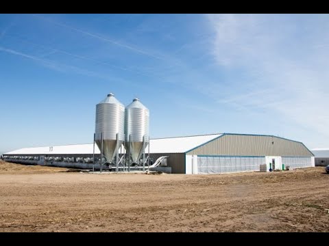 480 Head Farrowing Barn - YouTube