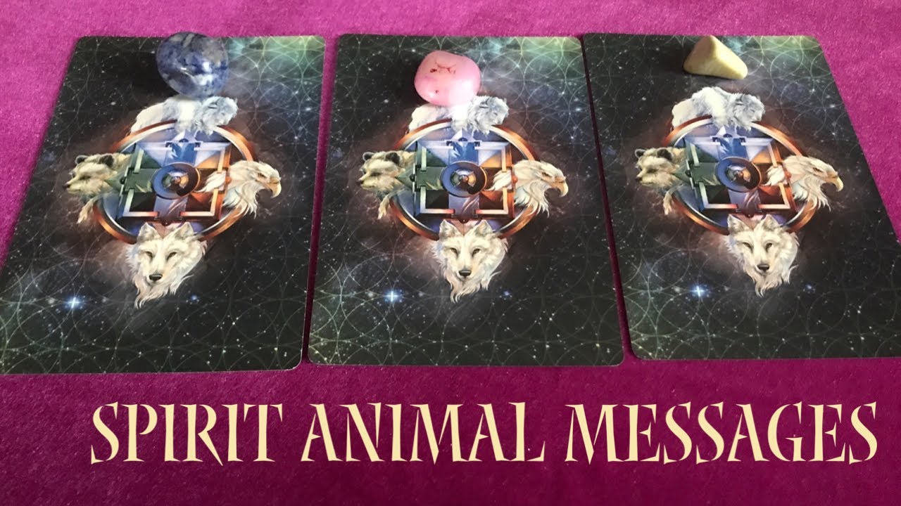 Spirit Animal Messages 🦚 - YouTube