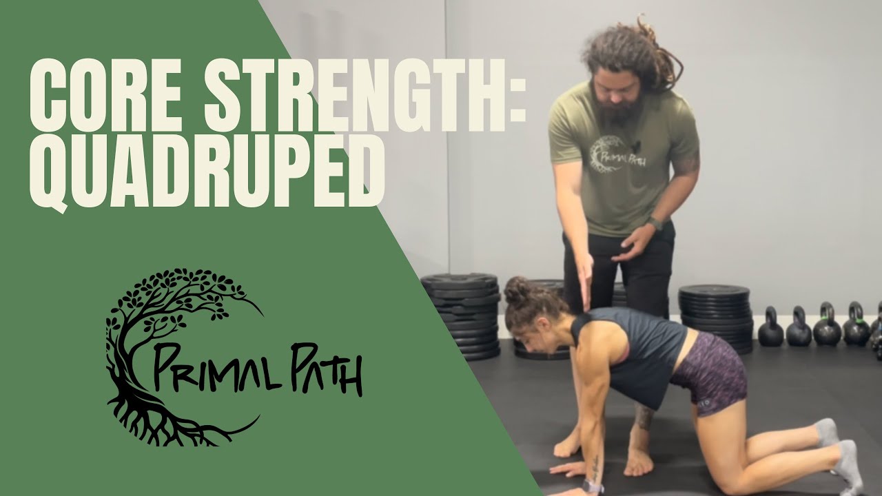 Core Progressions in Quadruped - YouTube