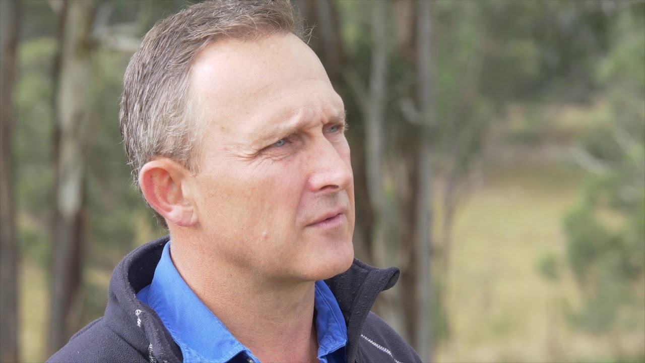 Why Angus? - Sire Selection - YouTube