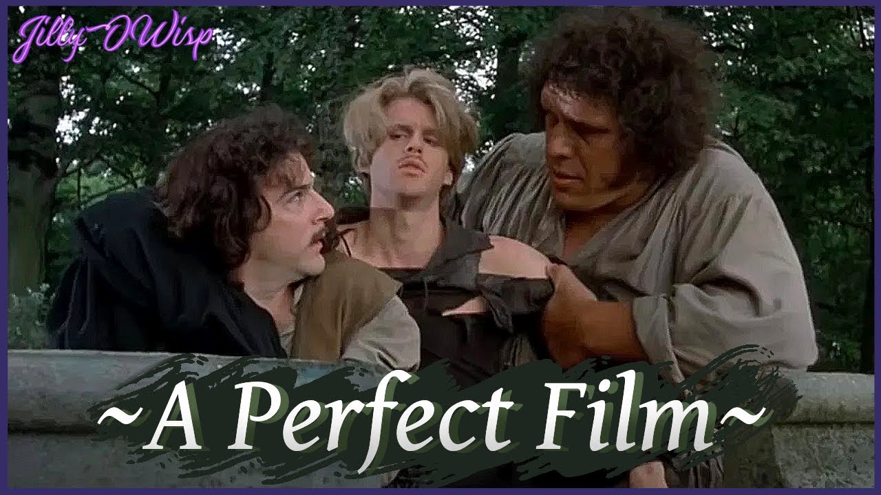The Princess bride is a perfect movie, any other opinion is wrong ...