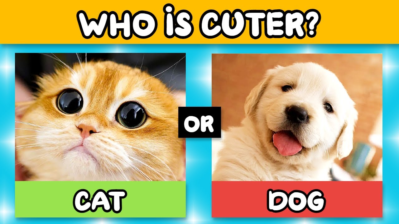 Pick One Kick One - Animals Edition - YouTube