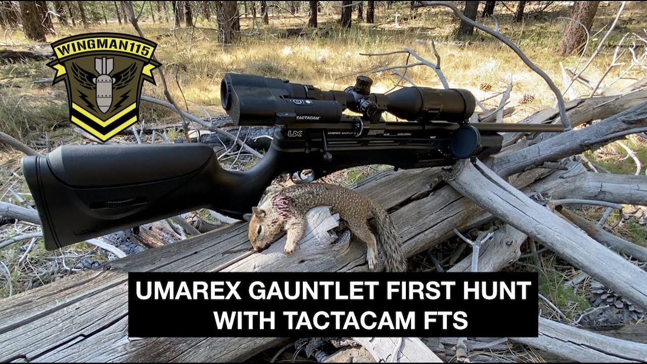 UMAREX Gauntlet .25 Cal Ground Squirrel Hunt - Featuring The TACTACAM ...