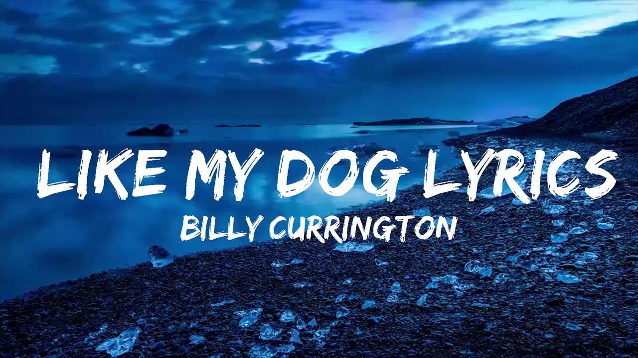 Play List || Billy Currington - Like My Dog lyrics || Lyric About - YouTube
