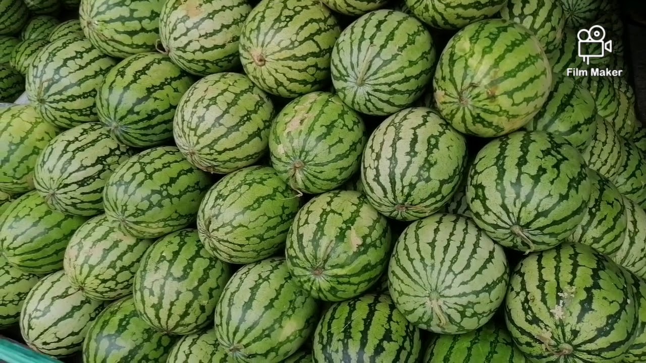 WATERMELON/PAKWAN | PARA SA TAG INIT - YouTube