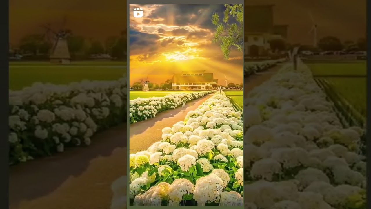 Nature status 🌈 Beautiful nature status . - YouTube