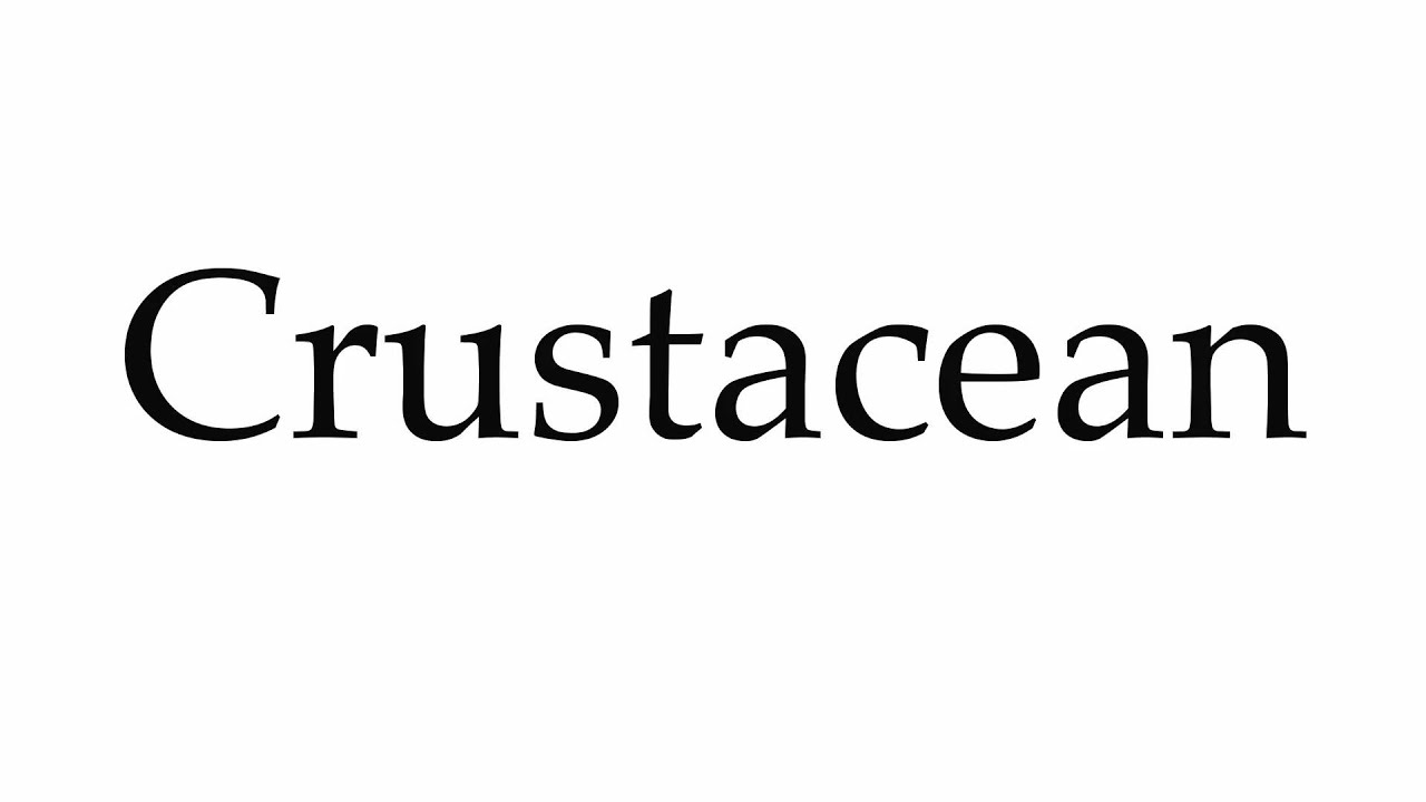 How to Pronounce Crustacean - YouTube