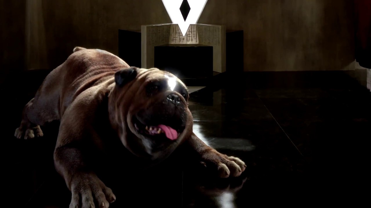 Lockjaw è il cane tele-porta di Marvel's Inhumans - YouTube