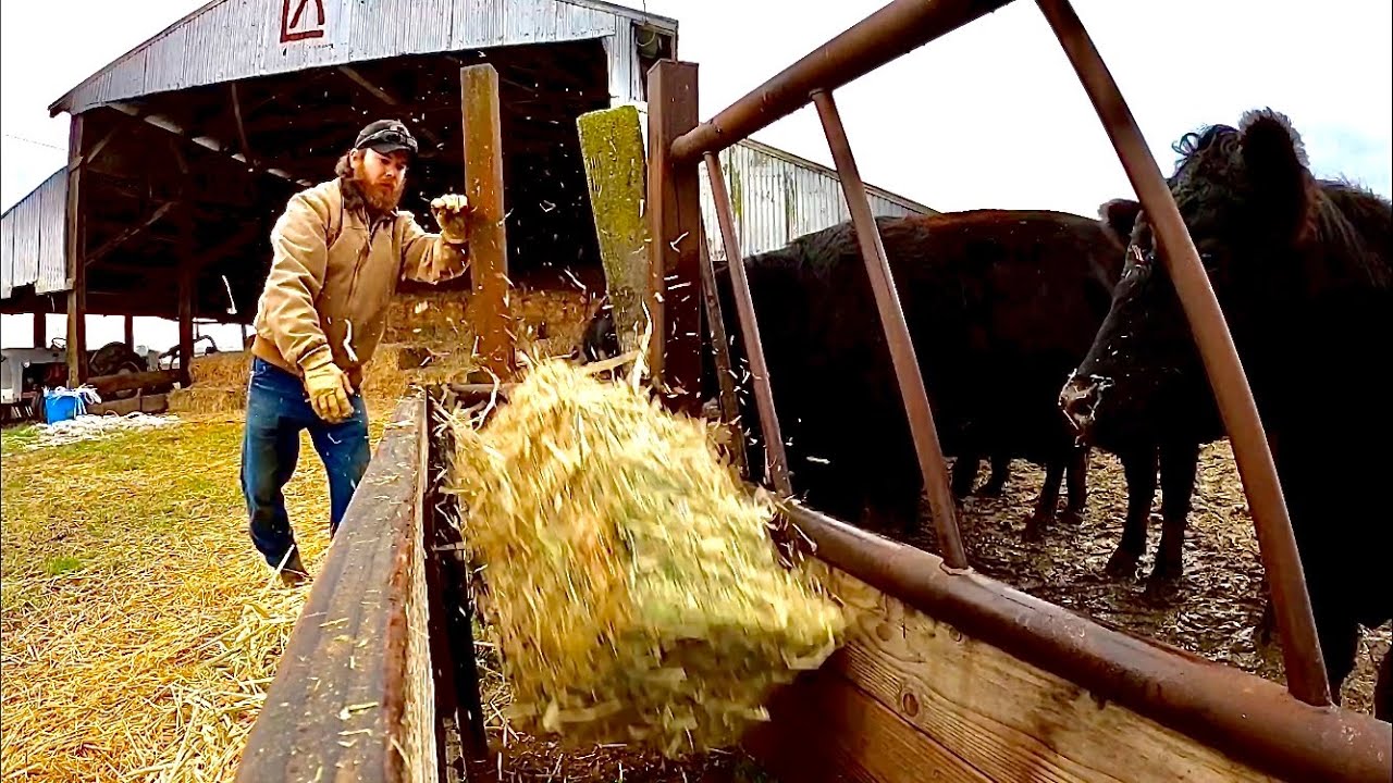 The Ranch Needs this Piece of Equipment, I’ve Got to Make it Happen ...