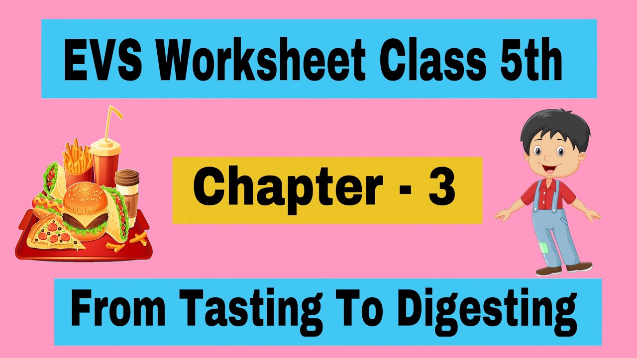 EVS practice worksheet class 5th || Chapter - 3 ( From Tasting to ...