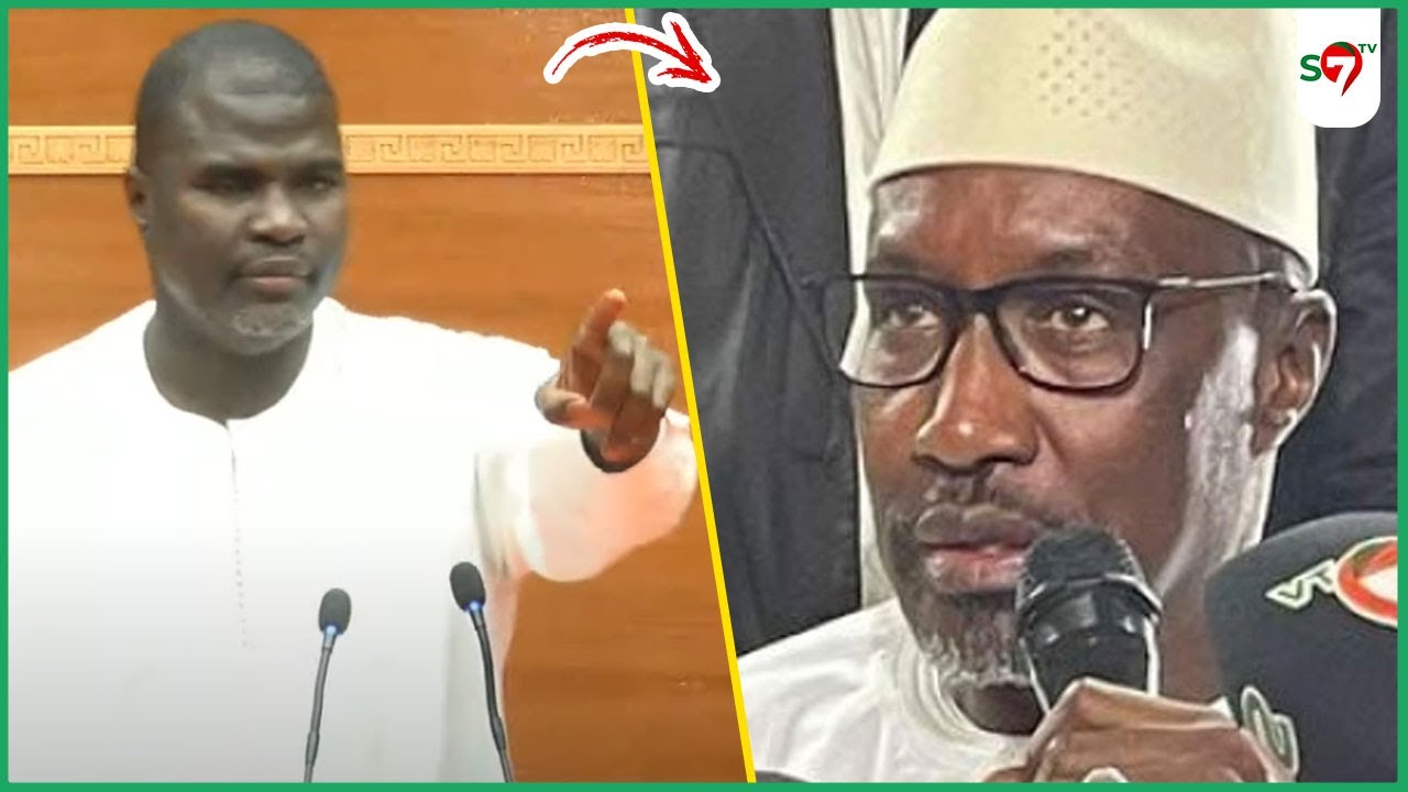 Assemblée: la petite pique d’Amadou Ba à Mamour Diallo & Cie « Même ...