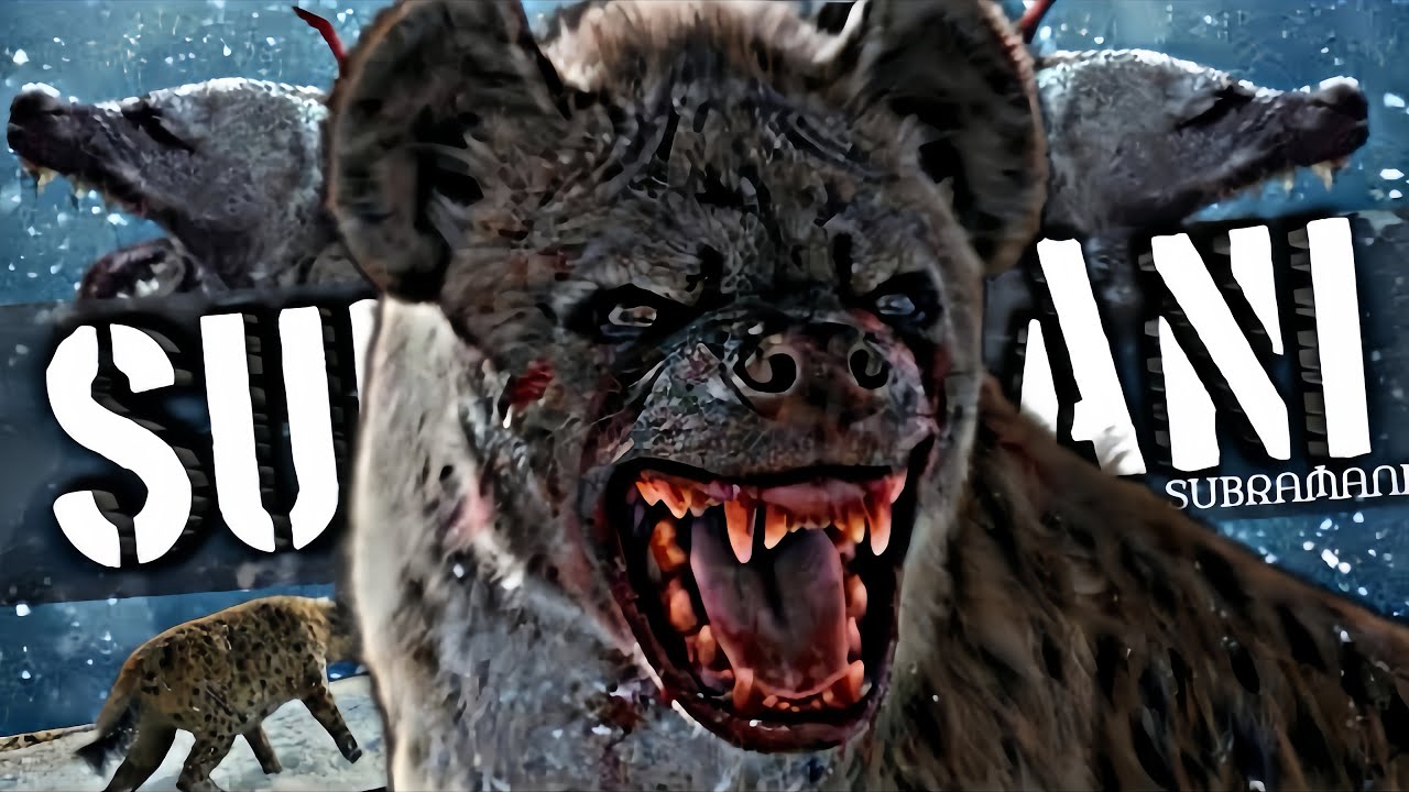 | 𝗦𝗨𝗕𝗥𝗔𝗠𝗔𝗡𝗜 | 𝙻𝙴𝙾 | 𝙻𝚘𝚔𝚎𝚜𝚑 𝙺𝚊𝚗𝚊𝚐𝚊𝚛𝚊𝚓 | 𝚃𝚑𝚊𝚕𝚊𝚙𝚊𝚝𝚑𝚢 | [ᴇᴅɪᴛ] - YouTube