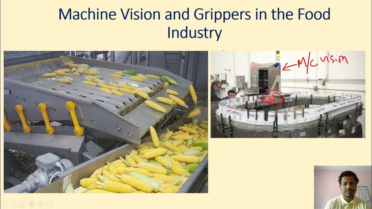 Machine vision systems - Robotics in Food Processing and Handling (Dr ...