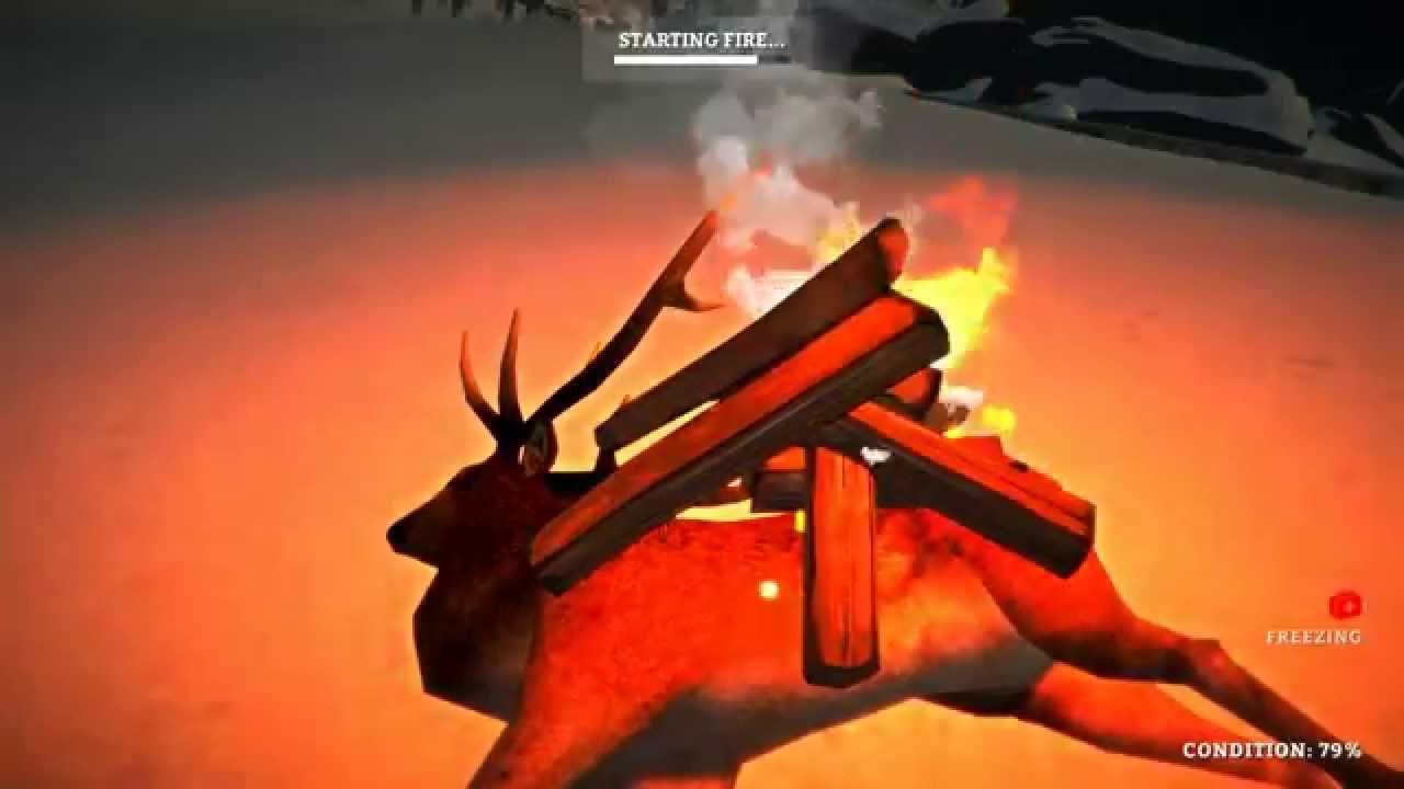 The Long Dark - Wolf vs Fire - YouTube