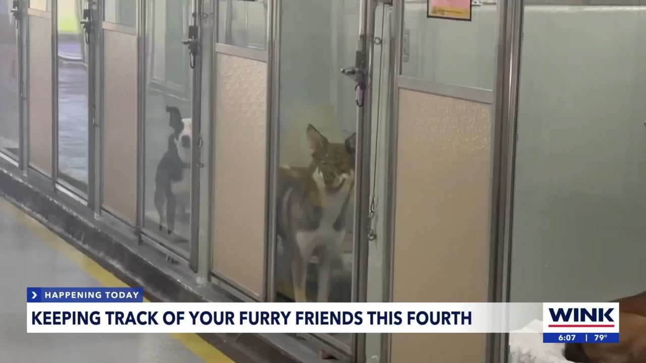 Lee County Domestic Animal Services hosts Check the Chip event - YouTube