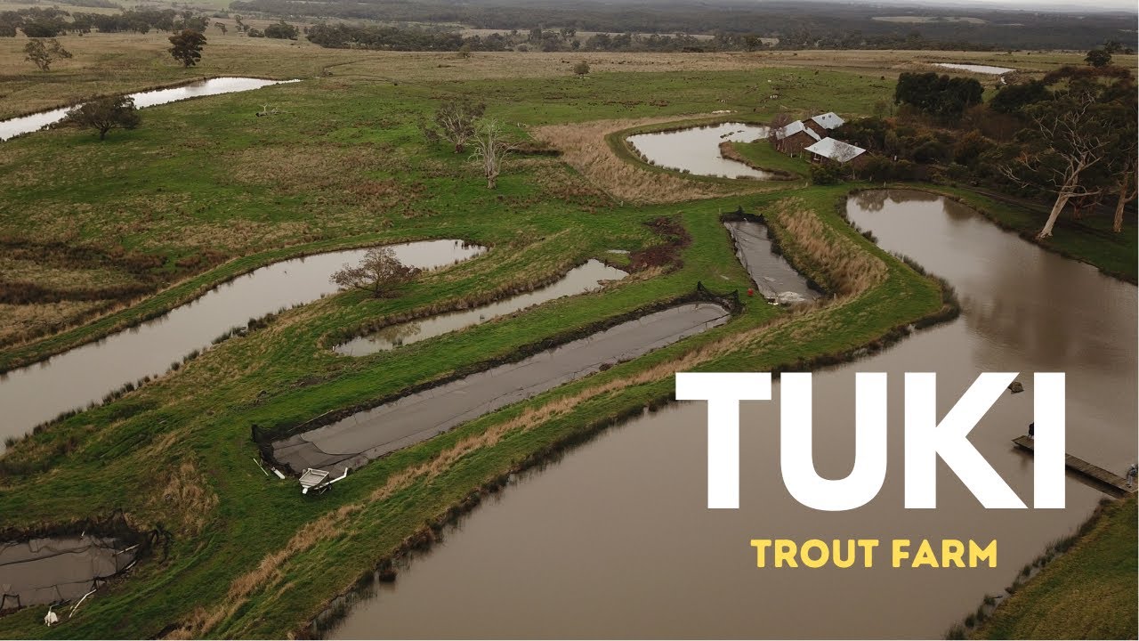 I visited a Trout Farm ll AUSTRALIA - YouTube