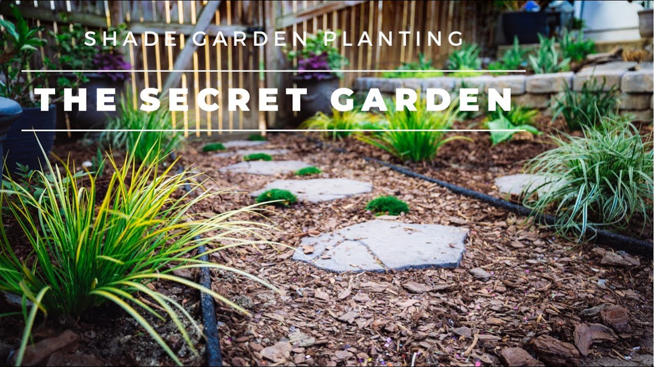 Shade Garden Planting / The Secret Garden Woodland Path - YouTube