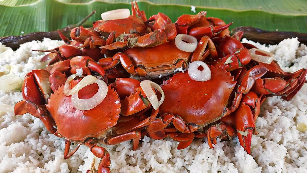 vlog424- NEW SPOT sa Panghuhuli ng Alimango/Mud crab Part 2 - YouTube