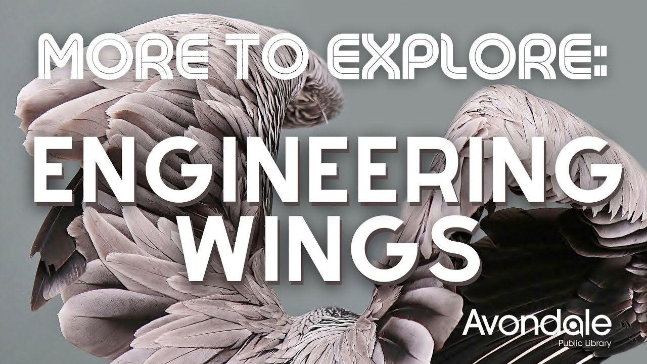 More to Explore February Week 3: Engineering Wings! - YouTube