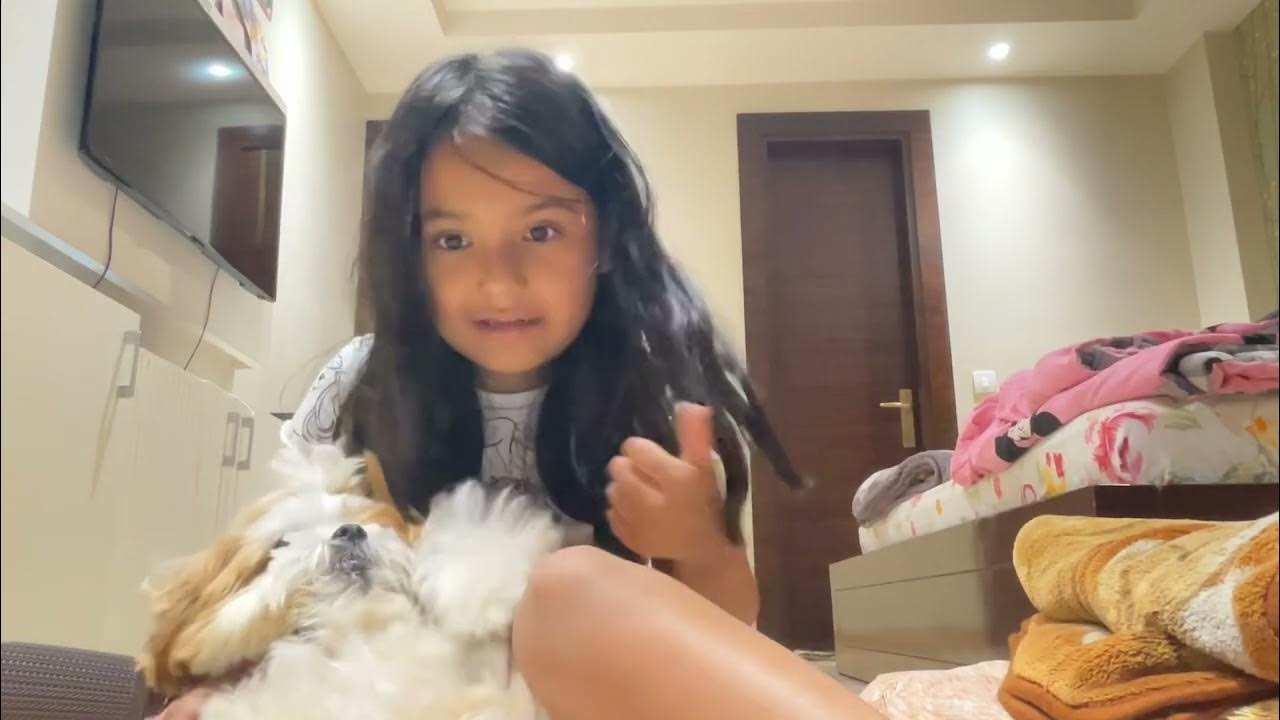 The accident, there was an accident, and my dog is creeping me out - YouTube