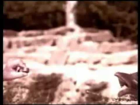 Rolo commercial (Elephant) from the 90s.mp4 - YouTube