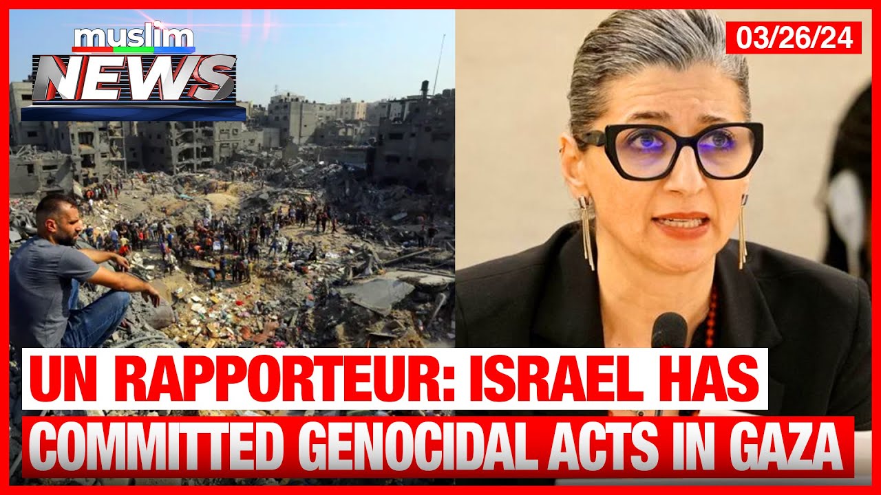 Reasonable Grounds For Genocidal Acts By Israel In Gaza, Says UN ...